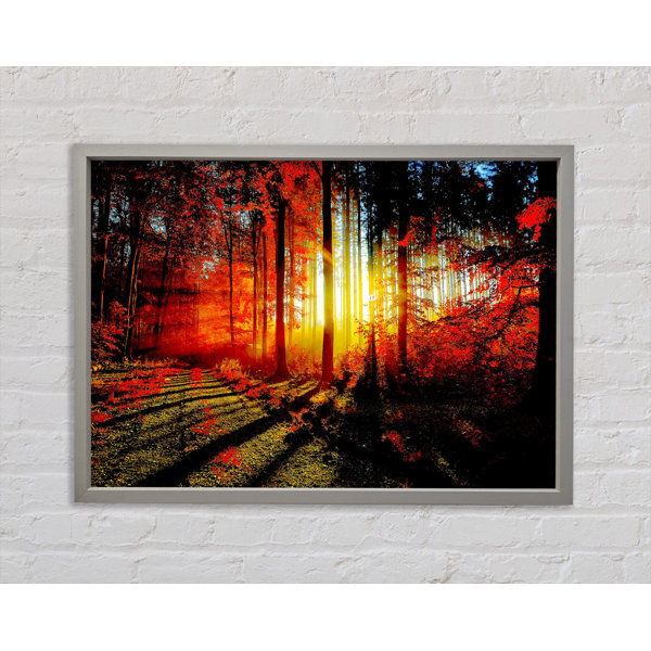 Union Rustic Red Forest - Einzelner Bilderrahmen Kunstdrucke auf Leinwand | Wayfair.de